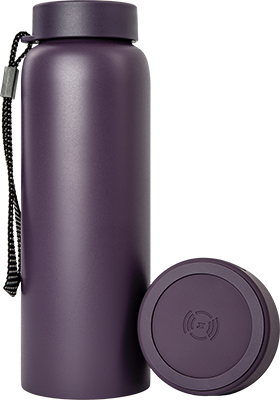 TYLT Insulated Portable Wireless Charging Water Bottle