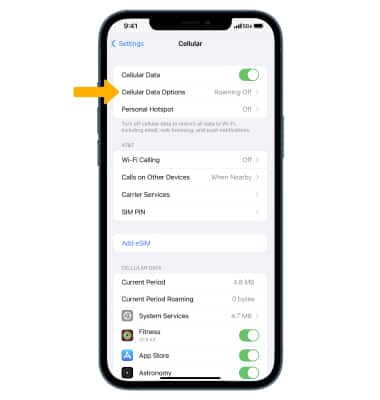 Apple iPhone 12 Pro Max - Signal & Cellular Data - AT&T