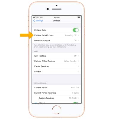 Apple iPhone 6s / 6s Plus - View & Manage Data - AT&T