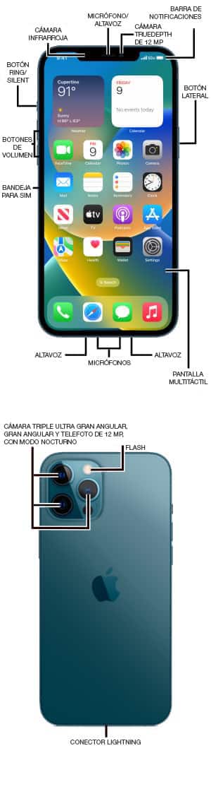 Diagrama del Apple iPhone 12 Pro Max - Ayuda con los dispositivos de AT&T
