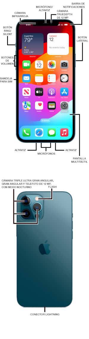 Diagrama del Apple iPhone 12 Pro Max - Ayuda con los dispositivos de AT&T