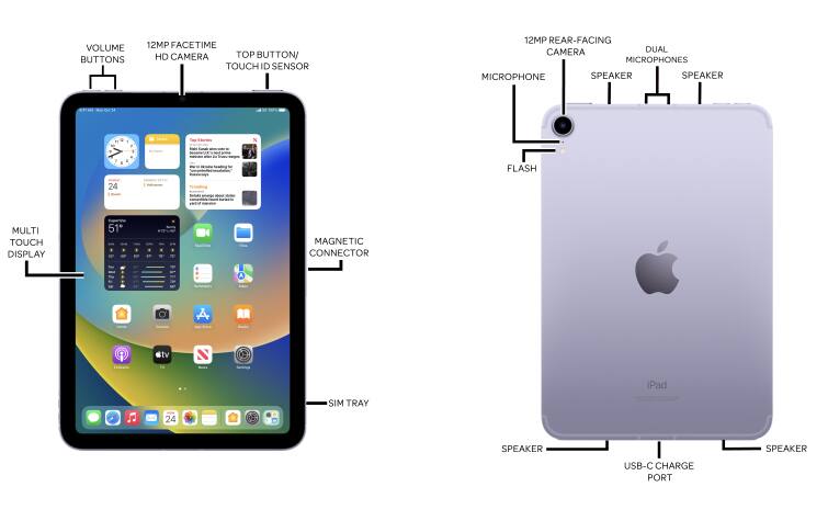 Apple iPad mini (6th Gen) Diagram - AT&T Device Support