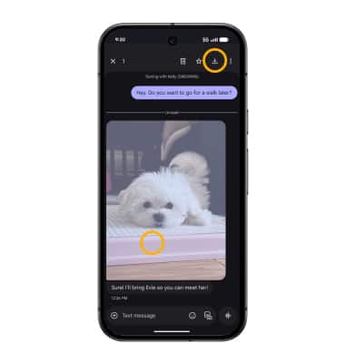 Google Pixel 9 (G2YBB) - Send & Receive Messages - AT&T