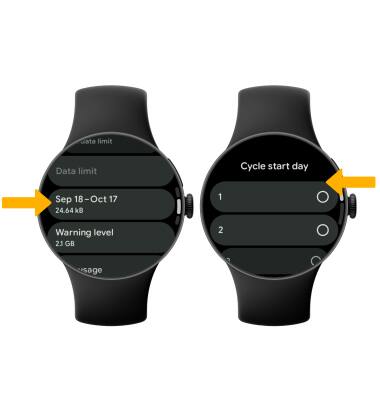 Google Pixel Watch 4 (G1KAW/GWSQ2) - View & Manage Data - AT&T