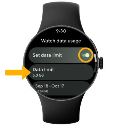 Google Pixel Watch 4 (G1KAW/GWSQ2) - View & Manage Data - AT&T