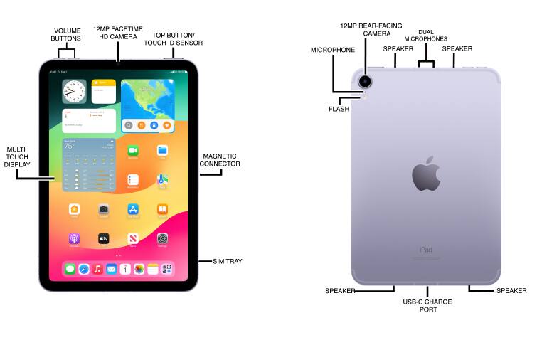 Apple iPad mini 6th Gen (2021) Diagram - AT&T Device Support