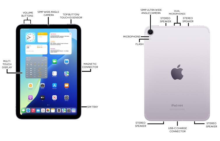Apple iPad mini (2024) Diagram - AT&T Device Support