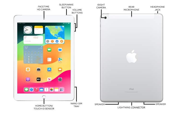 Apple iPad mini 5th Gen (2019) Diagram - AT&T Device Support