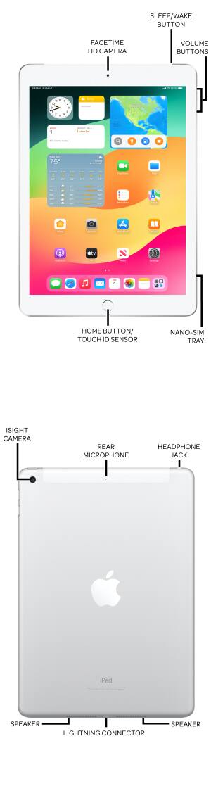 Apple iPad mini 5th Gen (2019) Diagram - AT&T Device Support